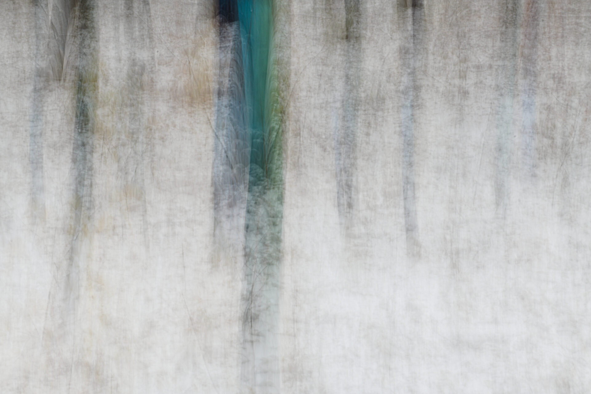 Apricity. Image and Text | Travel and Culture Journalism + Photography